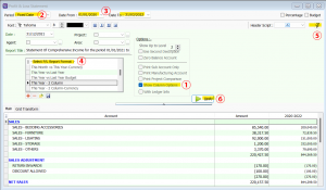 What is Profit & Loss? | SQL Accounting Software Malaysia