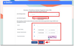 Effortless: TIN Check Online in 4 Simple Steps | E Stream MSC