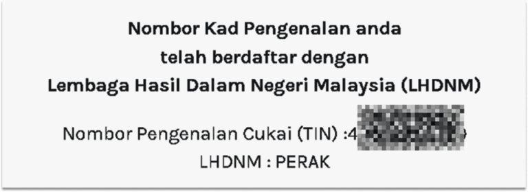 Effortless: TIN Check Online in 4 Simple Steps | E Stream MSC