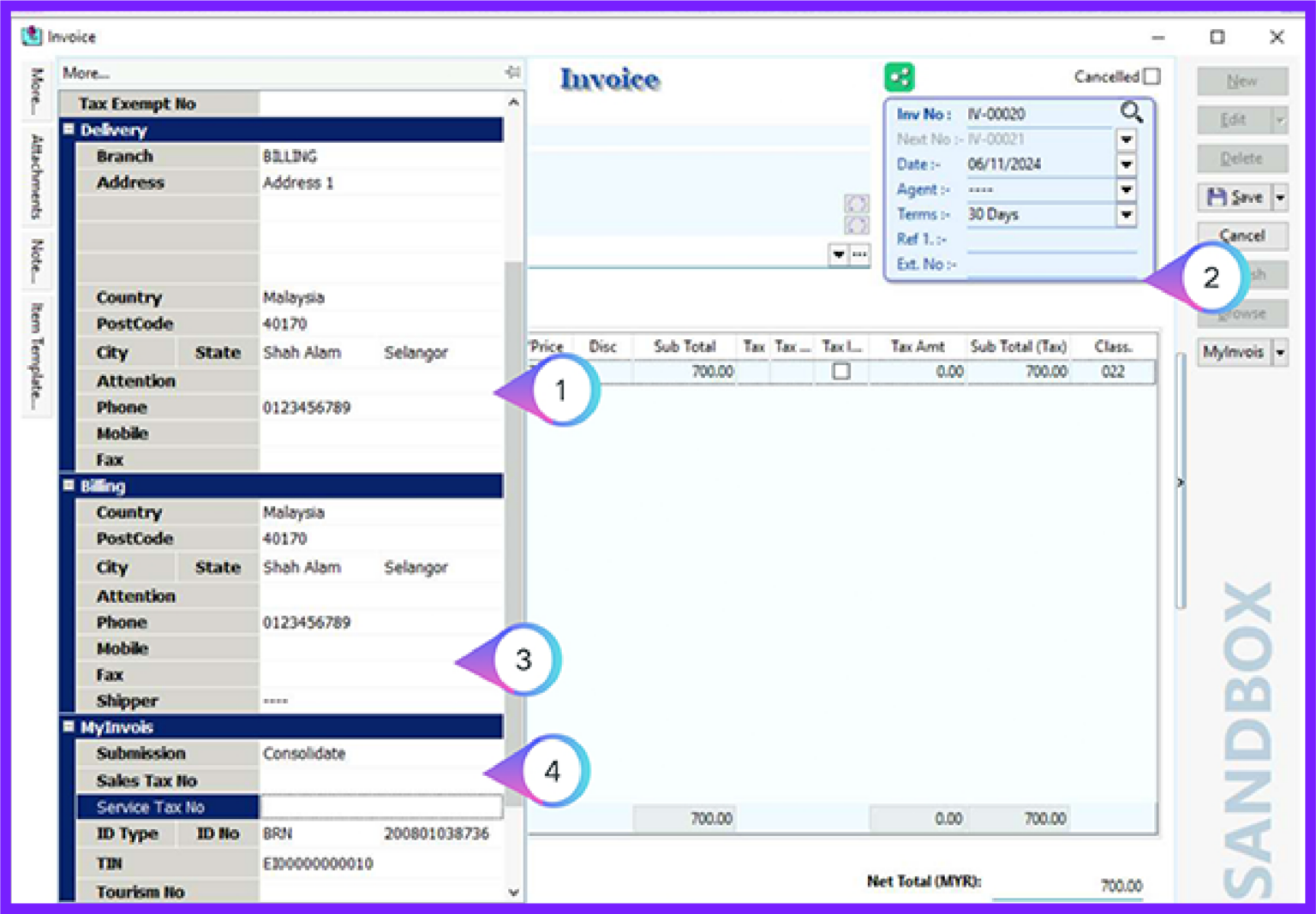 Breaking Down Consolidated E-Invoice in 5 Minutes | E Stream MSC