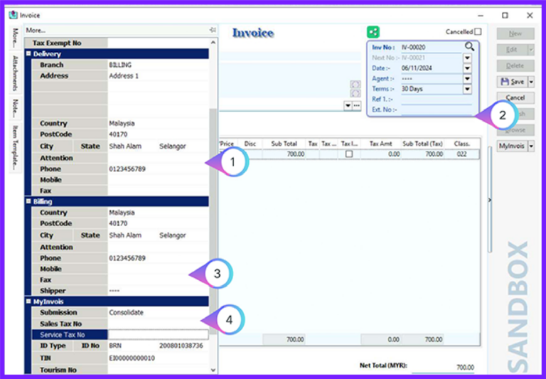 Breaking Down Consolidated E-Invoice in 5 Minutes | E Stream MSC