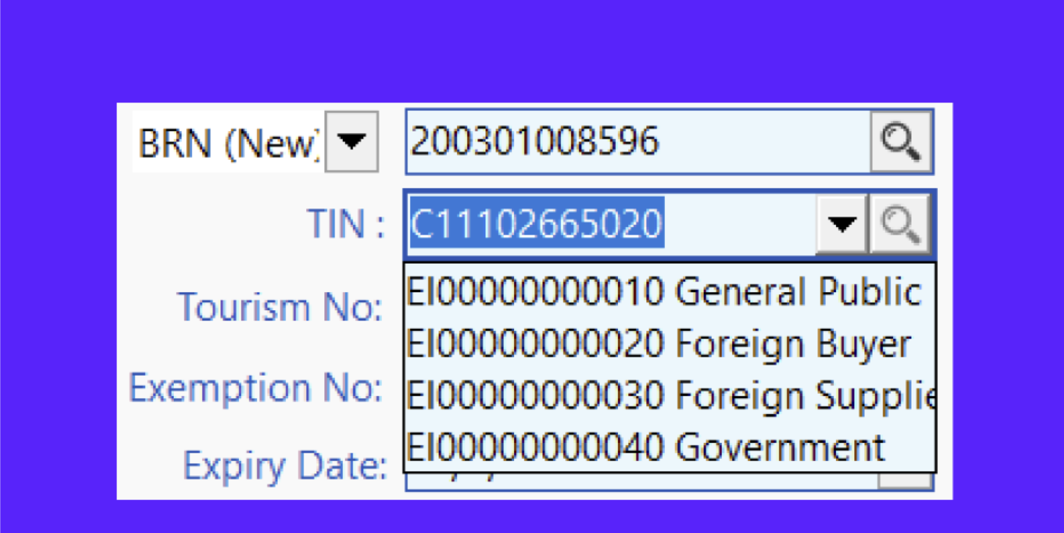 E-Invoice Setup Guide: 8 Easy Steps to Add Customer Details | E Stream MSC