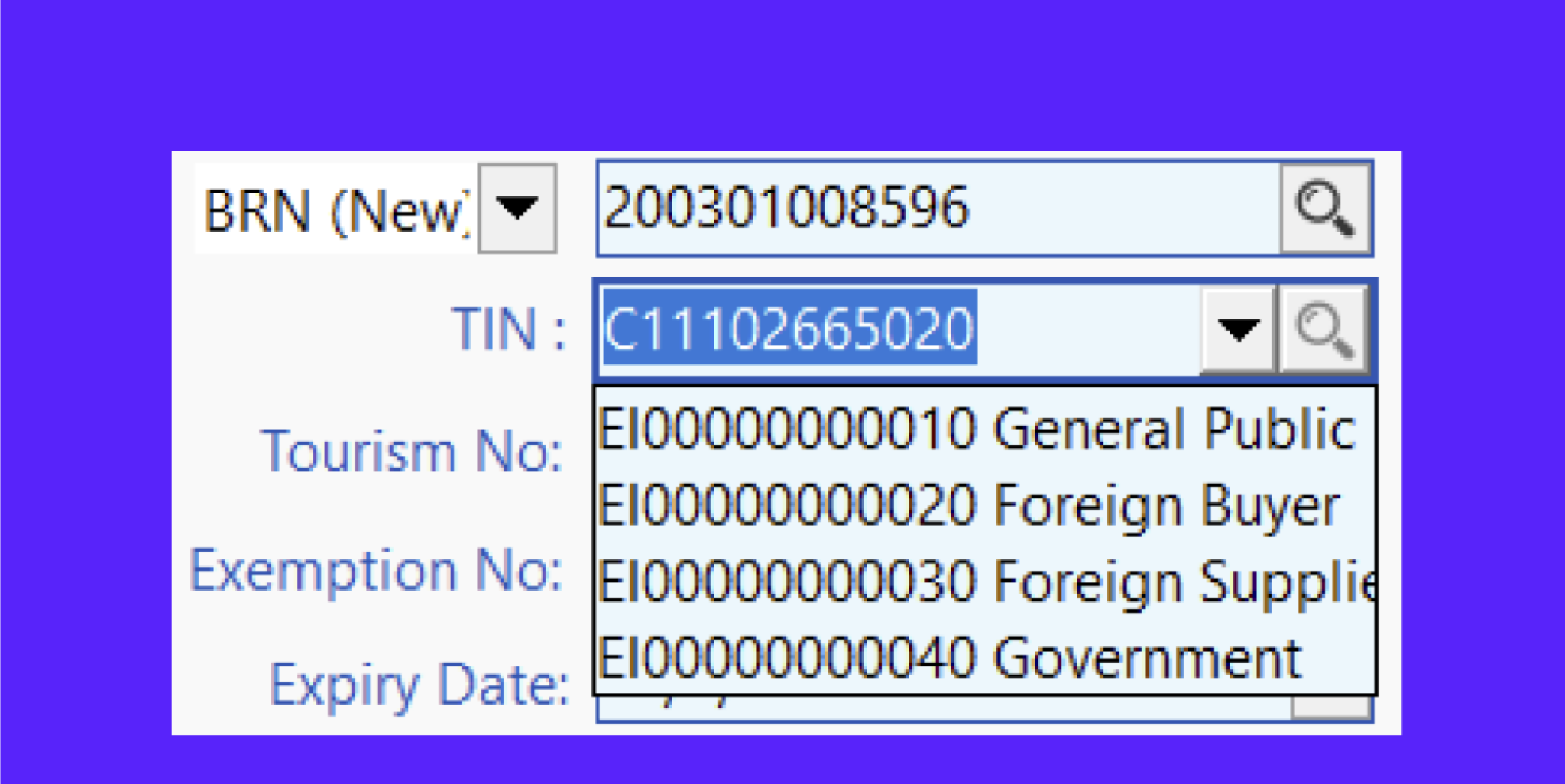 E-Invoice Setup Guide: 8 Easy Steps to Add Customer Details | E Stream MSC