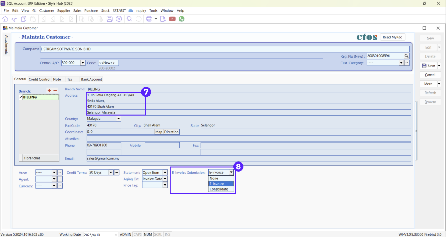 E-Invoice Setup Guide: 8 Easy Steps to Add Customer Details | E Stream MSC