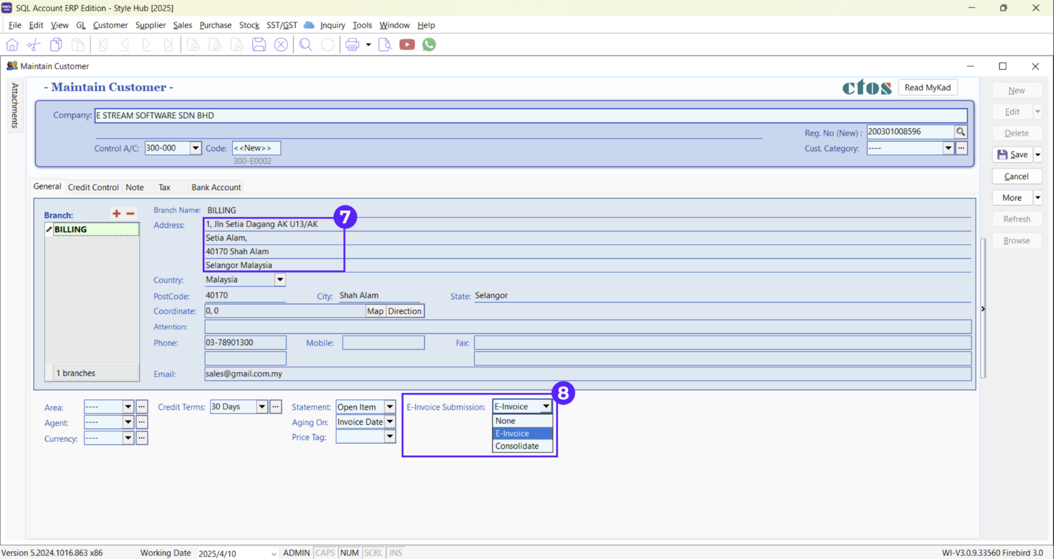 E-Invoice Setup Guide: 8 Easy Steps to Add Customer Details | E Stream MSC
