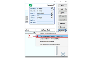 Modifying or Deleting E-Invoices: Avoid A 2nd Mistake | E Stream MSC