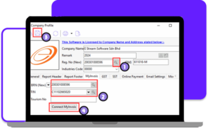 E-Invoice Setup: A Full 29-Step Guide to Production & Sandbox | E Stream MSC