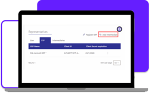 E-Invoice Setup: A Full 29-Step Guide to Production & Sandbox | E ...
